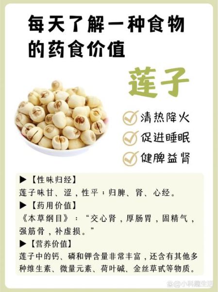 莲子怎么吃最养心安神_莲子功效与主治有哪些-第3张图片-山城妙识