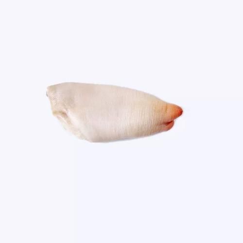 象拔蚌2怎么养_象拔蚌2养殖技巧-第1张图片-山城妙识 象拔蚌2怎么养_象拔蚌2养殖技巧-第1张图片-山城妙识