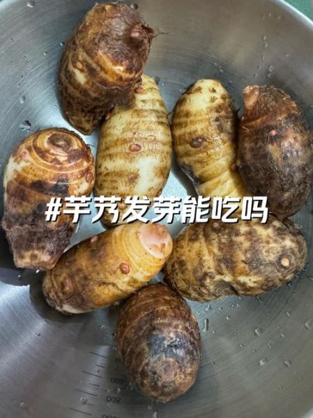 芋艿怎么保存_芋艿和芋头的区别-第3张图片-山城妙识