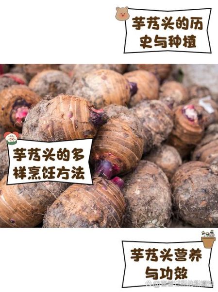 芋艿怎么保存_芋艿和芋头的区别-第1张图片-山城妙识