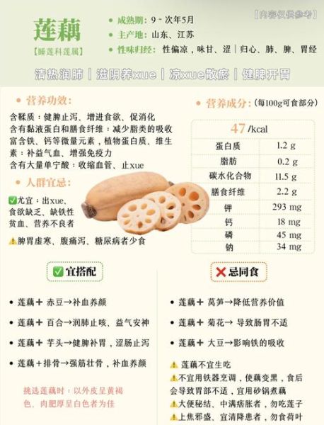 孕妇能吃莲藕吗_莲藕的功效与作用孕妇-第1张图片-山城妙识
