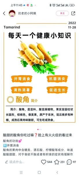 酸角的功效与作用禁忌_孕妇能吃吗-第1张图片-山城妙识 酸角的功效与作用禁忌_孕妇能吃吗-第1张图片-山城妙识
