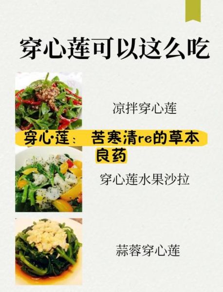 穿心莲怎么吃_穿心莲食用方法-第2张图片-山城妙识 穿心莲怎么吃_穿心莲食用方法-第2张图片-山城妙识