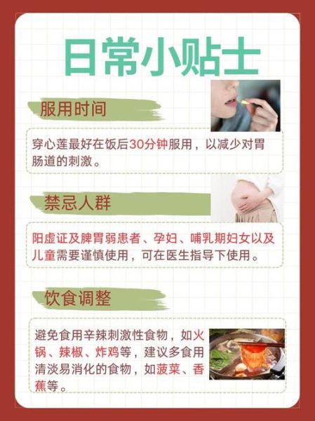 穿心莲怎么吃_穿心莲食用方法-第1张图片-山城妙识 穿心莲怎么吃_穿心莲食用方法-第1张图片-山城妙识