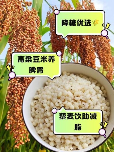 吃高粱米能降血糖吗_高粱米减肥功效怎么样-第1张图片-山城妙识 吃高粱米能降血糖吗_高粱米减肥功效怎么样-第1张图片-山城妙识