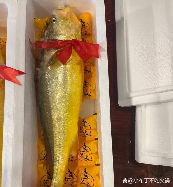黄鱼多少钱一斤_野生大黄鱼价格-第3张图片-山城妙识 黄鱼多少钱一斤_野生大黄鱼价格-第3张图片-山城妙识