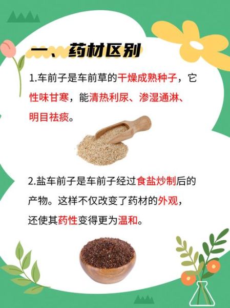车前子功效与作用_车前子怎么吃最好-第1张图片-山城妙识 车前子功效与作用_车前子怎么吃最好-第1张图片-山城妙识