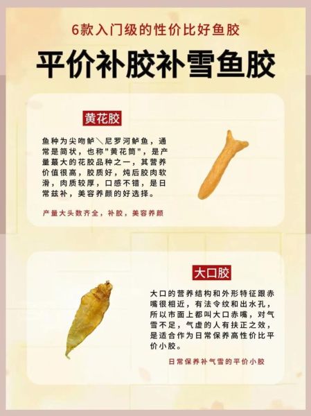 鮸鱼胶多少钱一斤_鮸鱼胶和黄花胶区别-第2张图片-山城妙识 鮸鱼胶多少钱一斤_鮸鱼胶和黄花胶区别-第2张图片-山城妙识