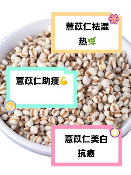 薏米仁连续吃多久去湿_多久见效-第2张图片-山城妙识