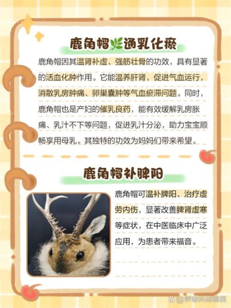 鹿角的功效与作用_鹿角怎么吃效果最好-第3张图片-山城妙识