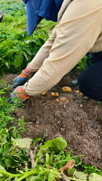 土豆视频最新版下载安装_土豆视频怎么更新到最新版-第1张图片-山城妙识 土豆视频最新版下载安装_土豆视频怎么更新到最新版-第1张图片-山城妙识