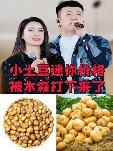 土豆视频最新版下载安装_土豆视频怎么更新到最新版-第2张图片-山城妙识 土豆视频最新版下载安装_土豆视频怎么更新到最新版-第2张图片-山城妙识