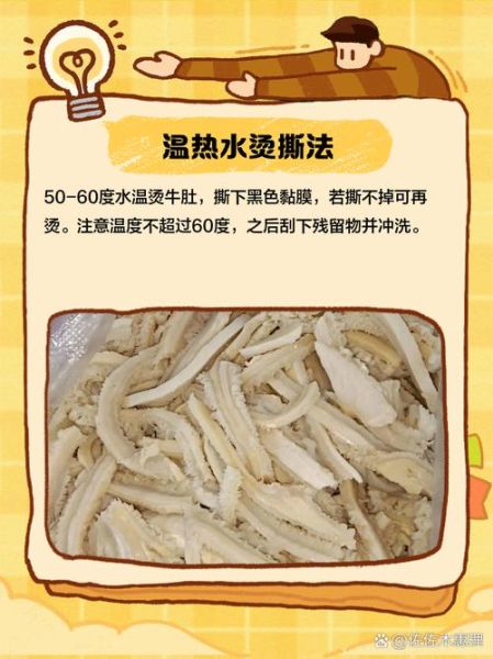 生牛肚怎么清洗_生牛肚怎么焯水去腥-第3张图片-山城妙识