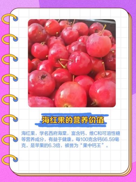 海红果的功效与作用_海红果怎么吃最好-第3张图片-山城妙识