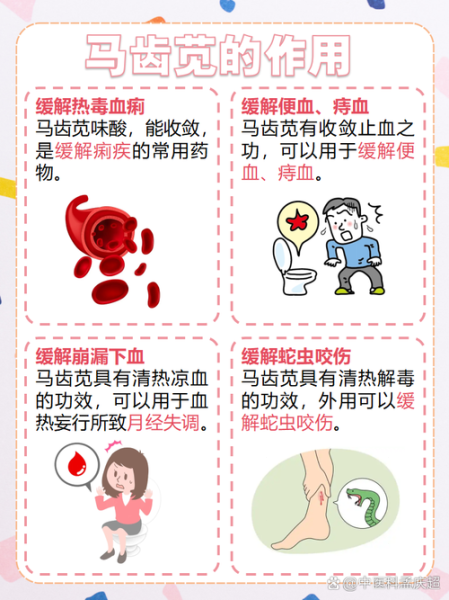 马齿苋中毒症状_马齿苋中毒怎么办-第1张图片-山城妙识