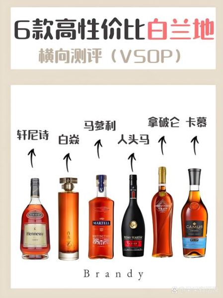 白兰地品牌推荐_白兰地怎么选-第2张图片-山城妙识
