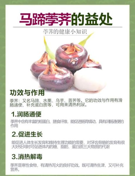 马蹄怎么吃最好_马蹄生吃还是熟吃-第1张图片-山城妙识