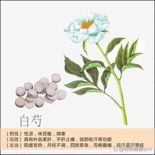 赤芍和白芍的区别_赤芍和白芍哪个好-第1张图片-山城妙识