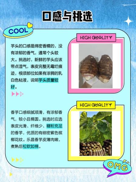 香芋怎么挑选_香芋和芋头区别-第2张图片-山城妙识 香芋怎么挑选_香芋和芋头区别-第2张图片-山城妙识