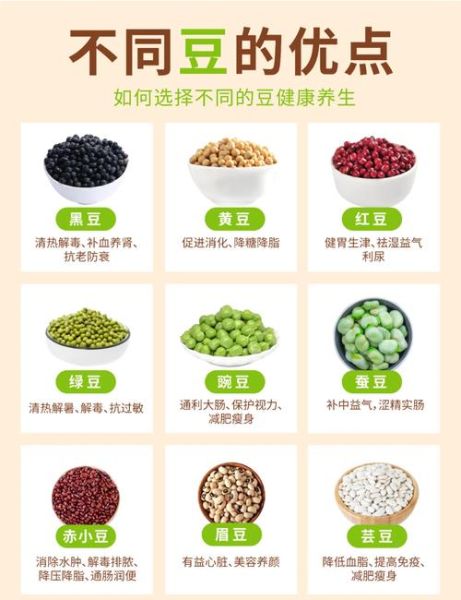 豆类有哪些营养价值_吃豆类有什么好处-第1张图片-山城妙识