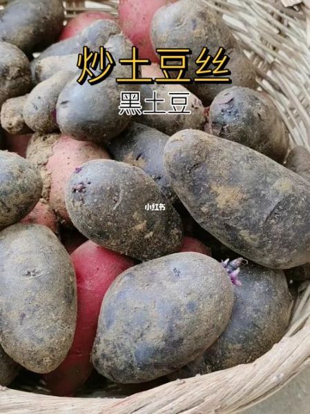 黑土豆怎么吃最好吃_黑土豆的做法大全-第3张图片-山城妙识