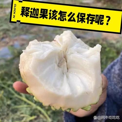 释迦怎么挑_释迦保存多久-第2张图片-山城妙识
