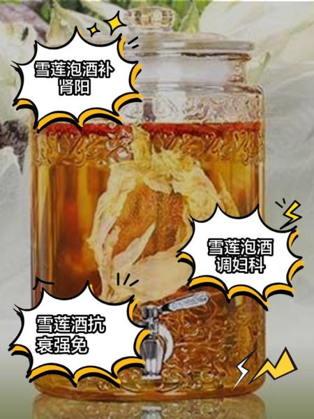 雪莲花泡水能喝几天_雪莲花泡水用量-第2张图片-山城妙识