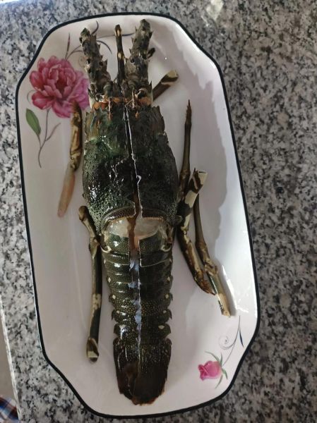 青龙虾多少钱一斤_青龙虾怎么做好吃-第2张图片-山城妙识