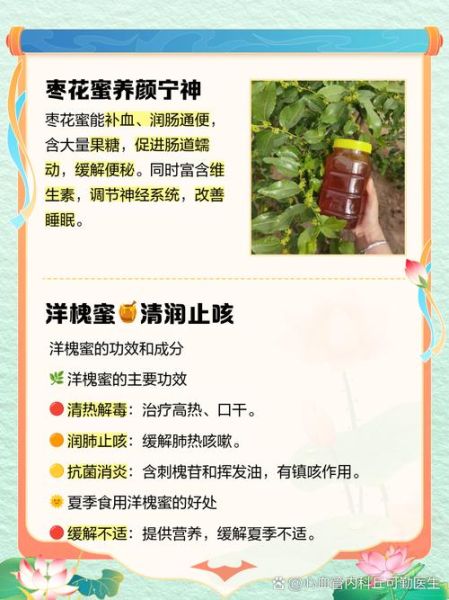 长期喝枣花蜜还是槐花蜜好_哪个更适合天天喝-第3张图片-山城妙识