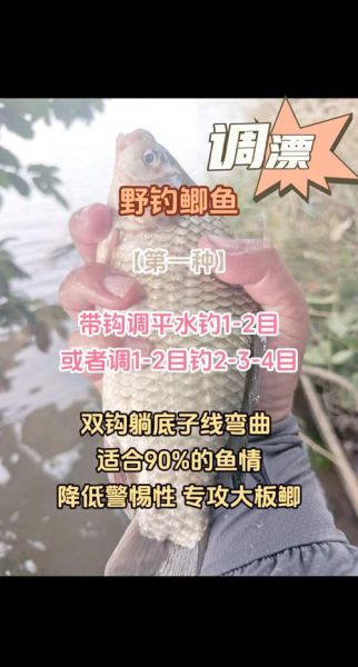 钓鲤鱼用什么饵料_钓鲤鱼怎么调漂-第1张图片-山城妙识 钓鲤鱼用什么饵料_钓鲤鱼怎么调漂-第1张图片-山城妙识