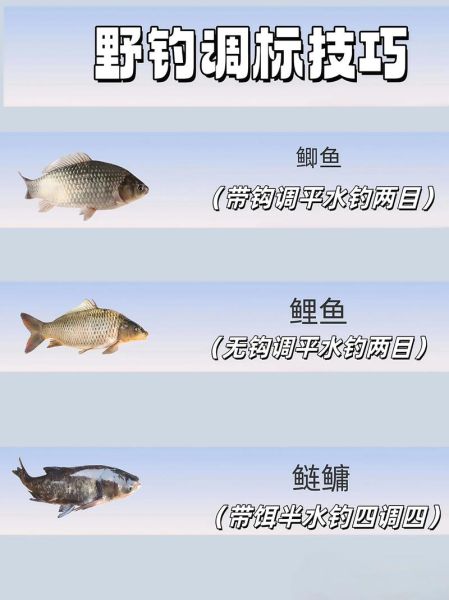 钓鲤鱼用什么饵料_钓鲤鱼怎么调漂-第2张图片-山城妙识 钓鲤鱼用什么饵料_钓鲤鱼怎么调漂-第2张图片-山城妙识