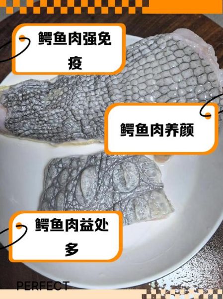 鳄鱼肉怎么做好吃_鳄鱼肉的家常做法-第3张图片-山城妙识