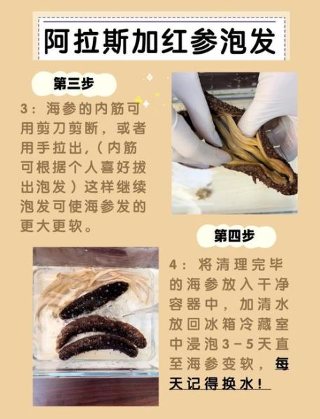 海参怎么泡发_海参涨发多久才最好-第1张图片-山城妙识