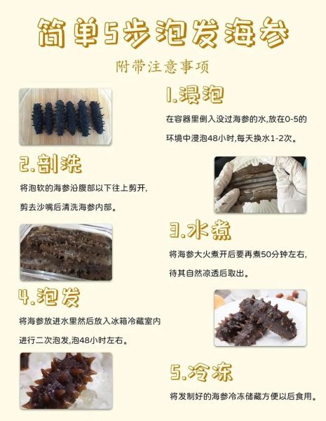 海参怎么泡发_海参涨发多久才最好-第2张图片-山城妙识