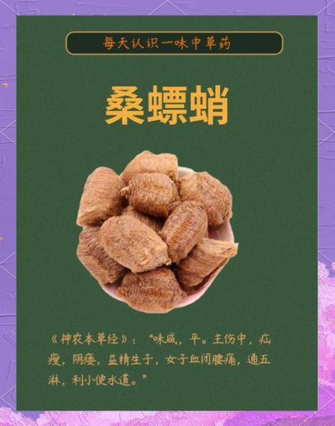 桑螵蛸是什么东西_桑螵蛸的功效与作用-第1张图片-山城妙识