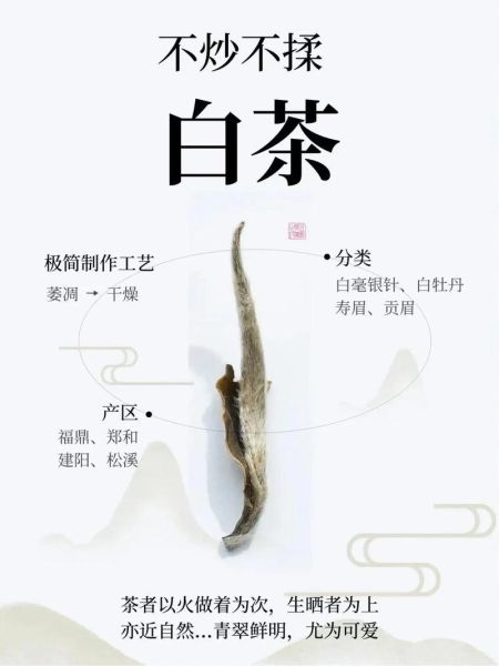 白茶属于什么茶_白茶是绿茶还是红茶-第2张图片-山城妙识