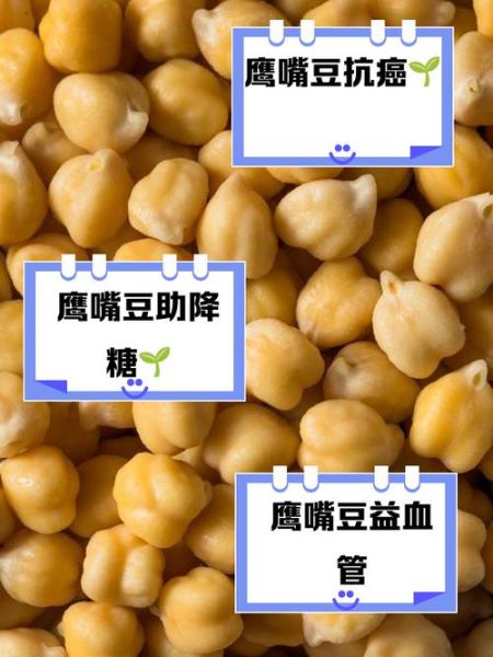 鹰嘴豆的功效与作用_鹰嘴豆的禁忌人群-第3张图片-山城妙识