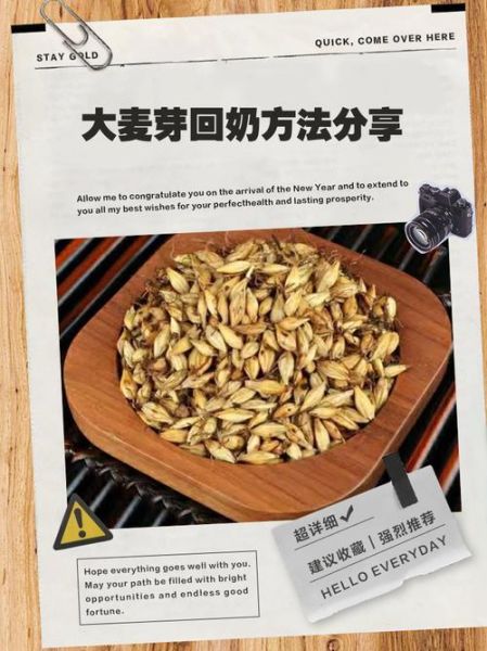 大麦茶能回奶吗_哺乳期喝大麦茶会回奶吗-第2张图片-山城妙识