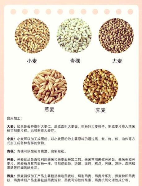 青稞和燕麦的区别_哪个更适合减肥-第1张图片-山城妙识