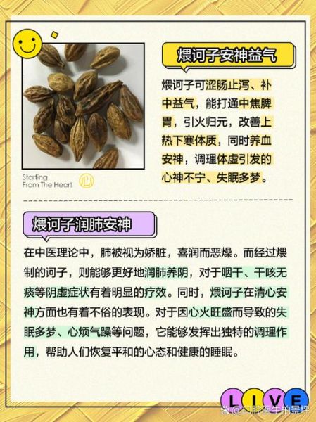 诃子有什么功效_诃子能治哪些病-第1张图片-山城妙识