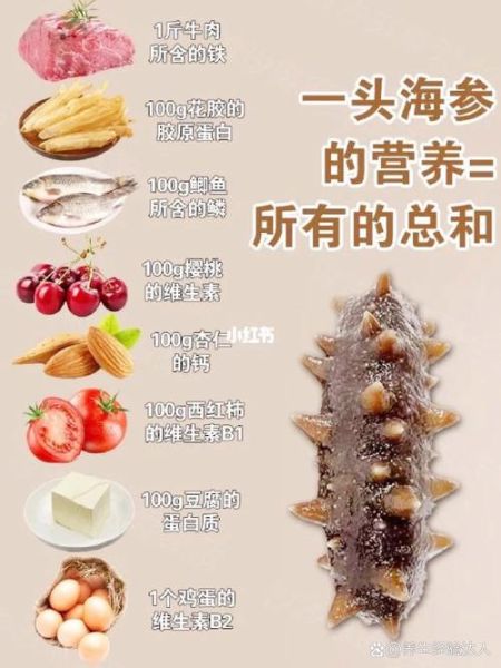 海参的功效与作用适合哪些人吃_海参怎么吃最有营养-第3张图片-山城妙识