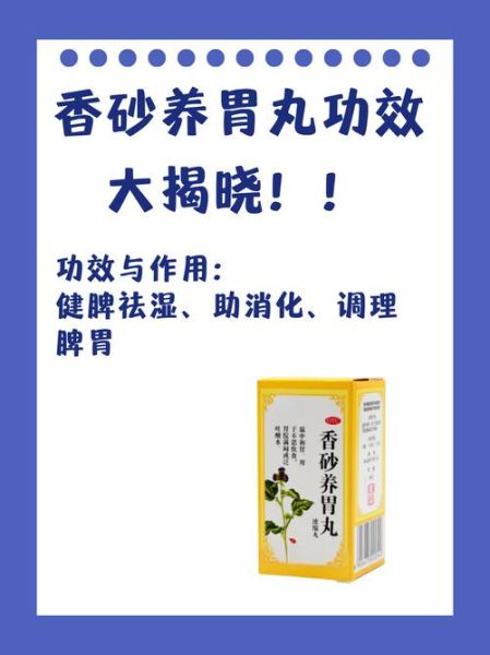 健脾养胃丸怎么吃_健脾养胃丸适合什么人-第3张图片-山城妙识