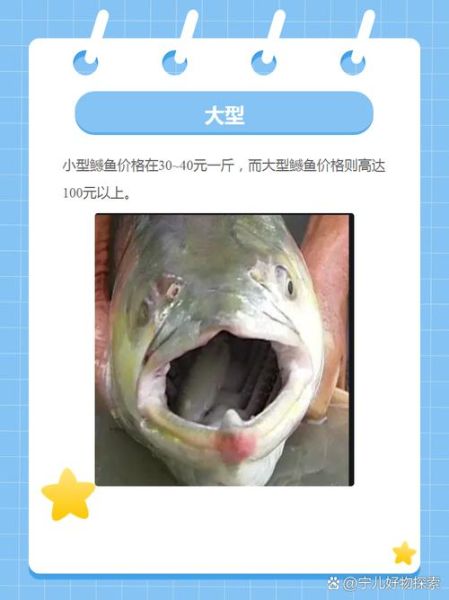 鳡鱼的营养价值_鳡鱼适合什么人吃-第3张图片-山城妙识