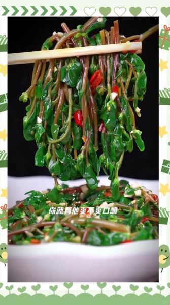 马齿菜怎么做好吃_马齿菜凉拌做法-第1张图片-山城妙识