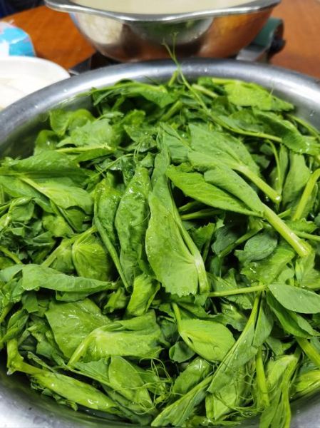 豌豆尖的功效与作用_豌豆尖怎么吃最营养-第1张图片-山城妙识