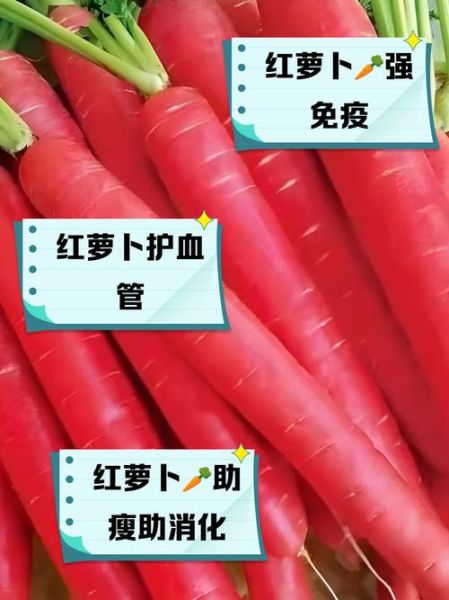 红萝卜的功效与作用_红萝卜的禁忌症有哪些-第3张图片-山城妙识