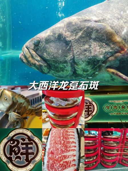 龙趸石斑鱼的营养价值_龙趸石斑鱼的功效与作用-第1张图片-山城妙识