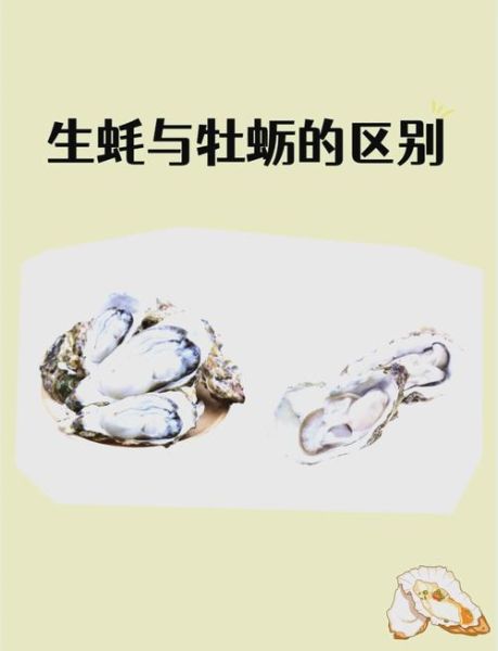 牡蛎拼音怎么拼_牡蛎的营养价值有哪些-第2张图片-山城妙识