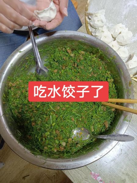 茴香馅饺子怎么处理_茴香饺子馅怎么调才香-第3张图片-山城妙识