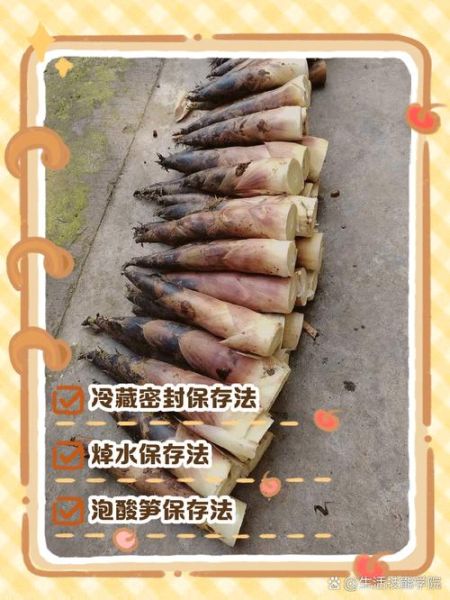 鲜竹笋怎么保存_鲜竹笋可以冷冻吗-第2张图片-山城妙识